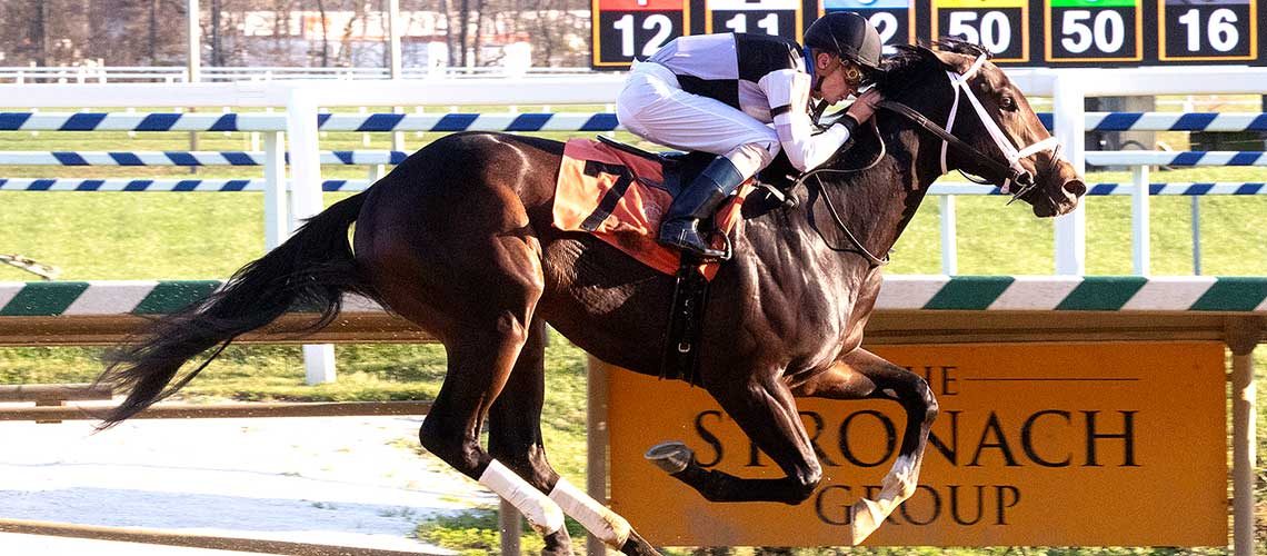 Hello Hot Rod at Home in $100,000 Harrison Johnson – Pimlico